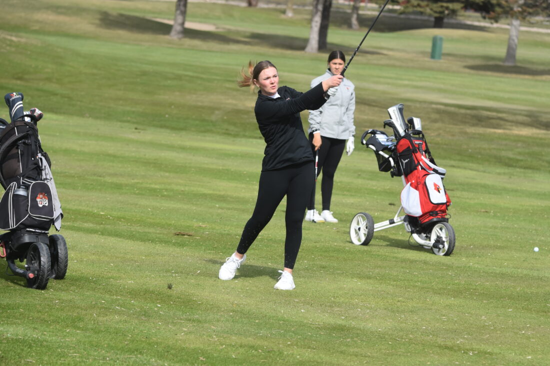 Tigers fall short vs. Cardinals | News, Sports, Jobs - Marshall Independent